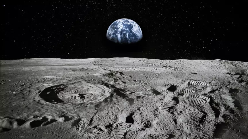 研究表明月球土壤可以支持植物生長