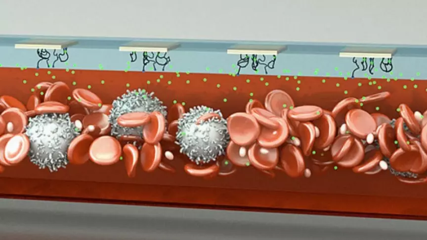 Universal Biosensor Ngahemat Kahirupan Jeung Nyukcruk Real-time