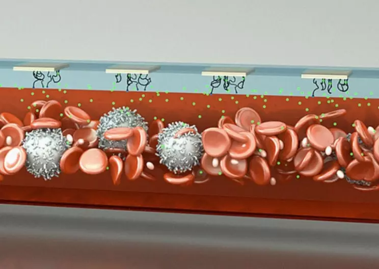 Universal Biosensor e Pholosa Bophelo ka ho Tracking ka nako ea 'nete