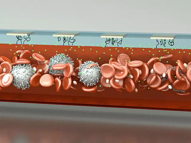 Universal Biosensor e Pholosa Bophelo ka ho Tracking ka nako ea 'nete