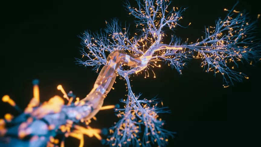 Дизайнер мэдрэлийн эсүүд Паркинсоны өвчнийг эмчлэх найдвар төрүүлдэг