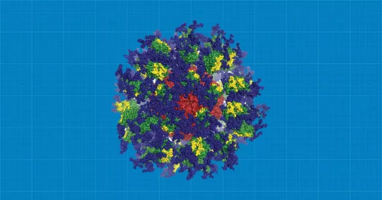 Ang Novel HIV Vaccine Nag-una sa Immune System aron Makahimog Gamhanan nga Antibodies