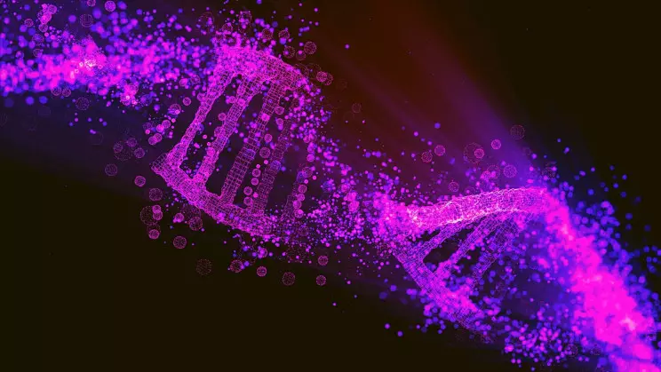 Il mistero dell'evoluzione umana potrebbe essere spiegato dal tunnel quantistico