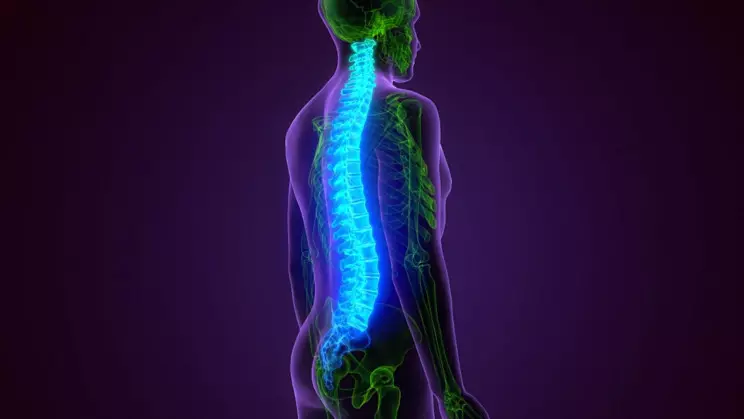 Ilmuwan Gunakake Terapi Stem Cell kanggo Ciloko Spinal Cord