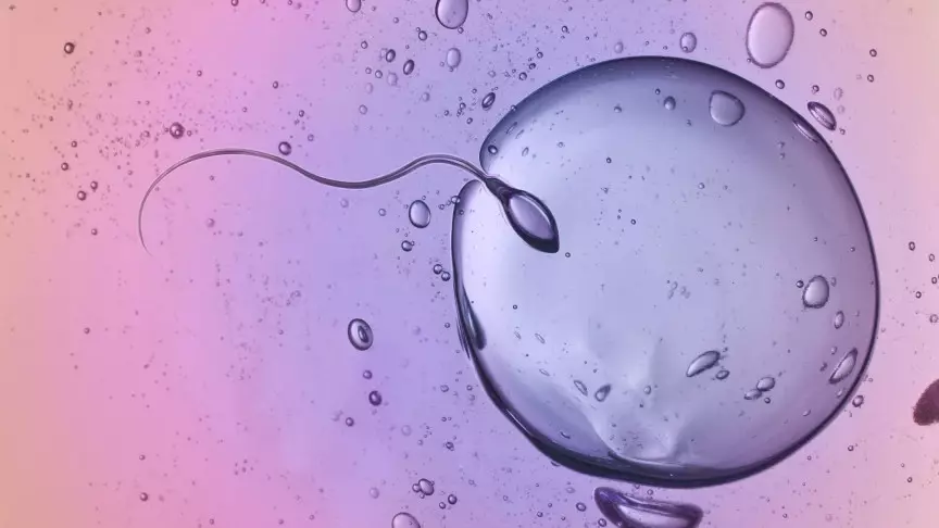 Kemikalier i miljön kan minska antalet spermier avsevärt