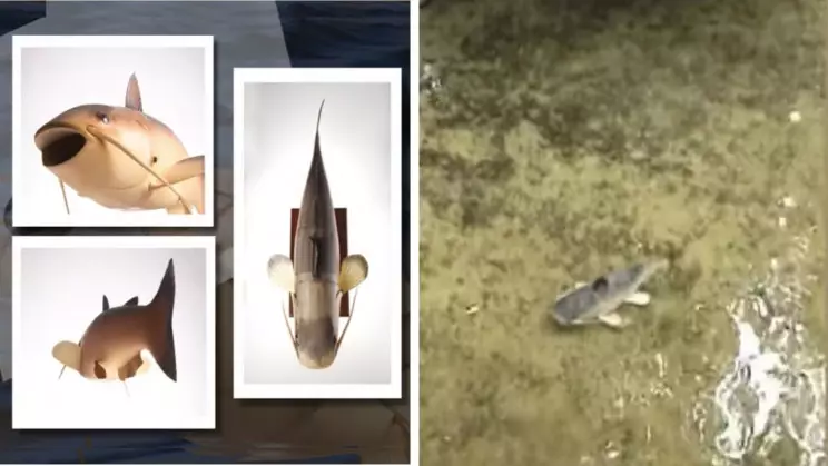 Gibuhat sa CIA si 'Charlie' ang Catfish Robot alang sa Underwater Research