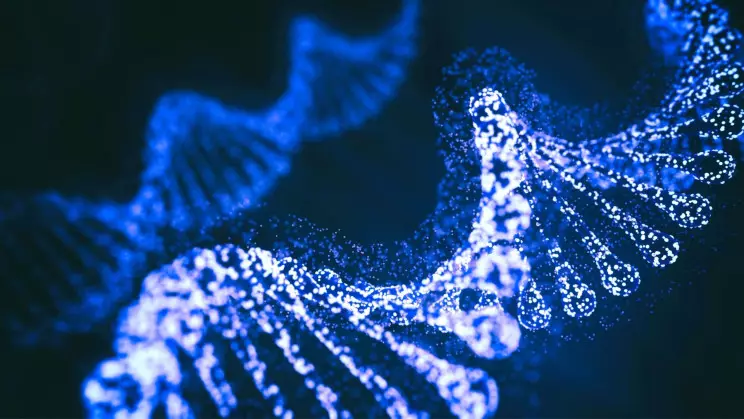 Los impulsores genéticos CRISPR podrían estar llegando a una ardilla cerca de usted