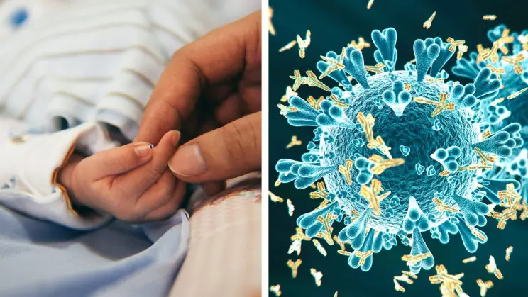 Žena z USA práve porodila prvé dieťa s protilátkami proti COVID-19