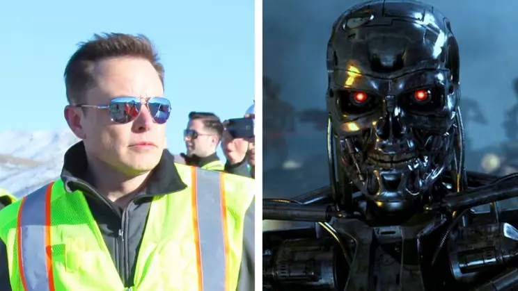 Anndan batay Elon Musk pou sove limanite anba Apocalypse AI