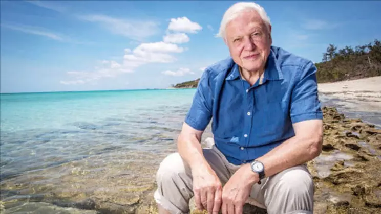 5 Pelajaran David Attenborough Untuk Setiap Manusia