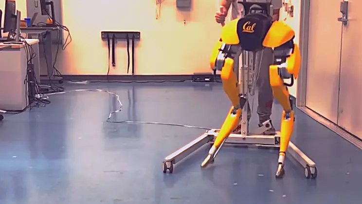 Robot nauczył się chodzić, zupełnie jak dziecko