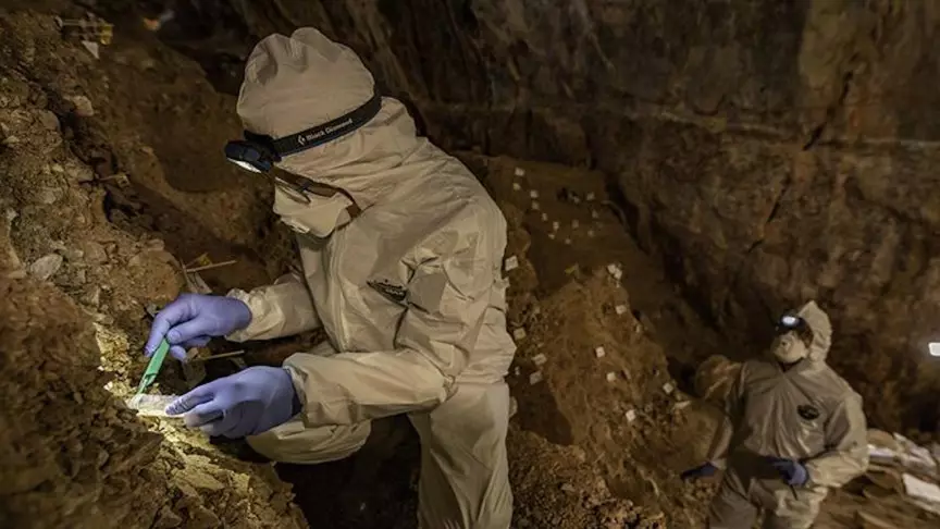 دانشمندان ژنوم خرس عصر حجر را از نمونههای خاک غار بازسازی کردند
