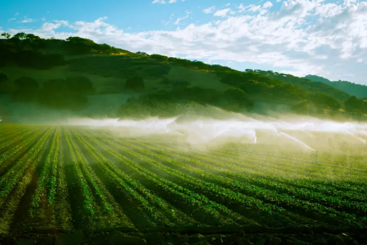 Irrigation dans la vallée centrale de Californie