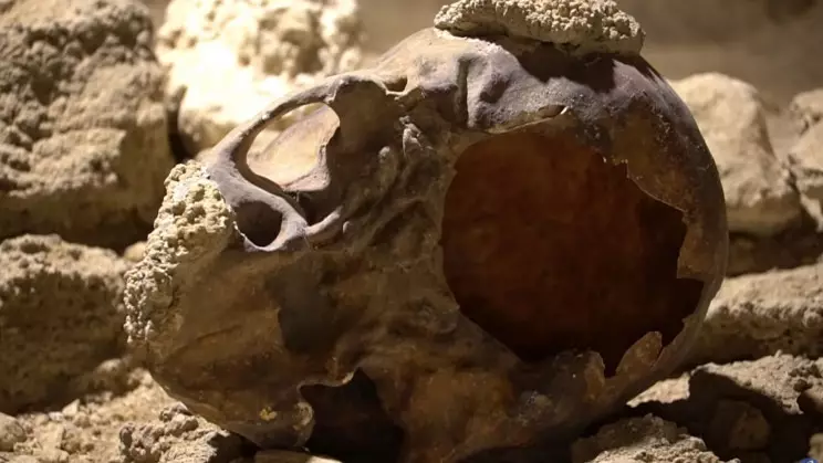 In seldsume ûntdekking: Fossilen fan 9 Neandertalers ûntdutsen by Rome
