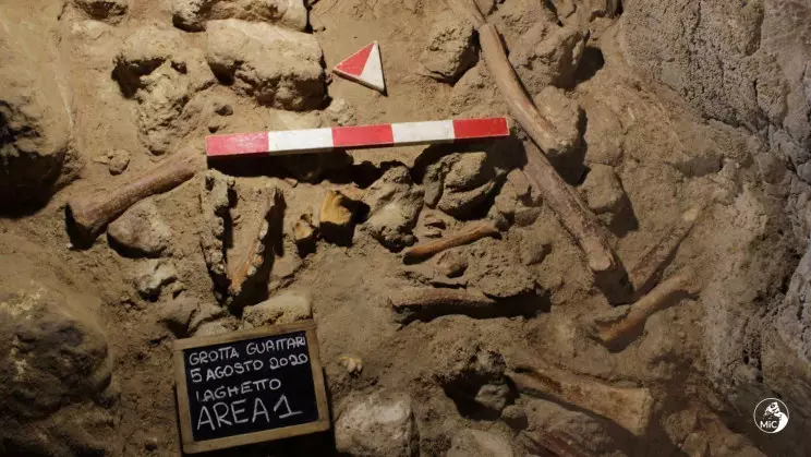 Сирәк ачыш: Рим янында ачылган 9 неандертал калдыклары