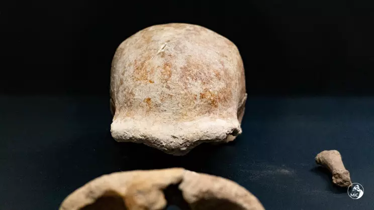 Uma descoberta rara: fósseis de 9 neandertais descobertos perto de Roma