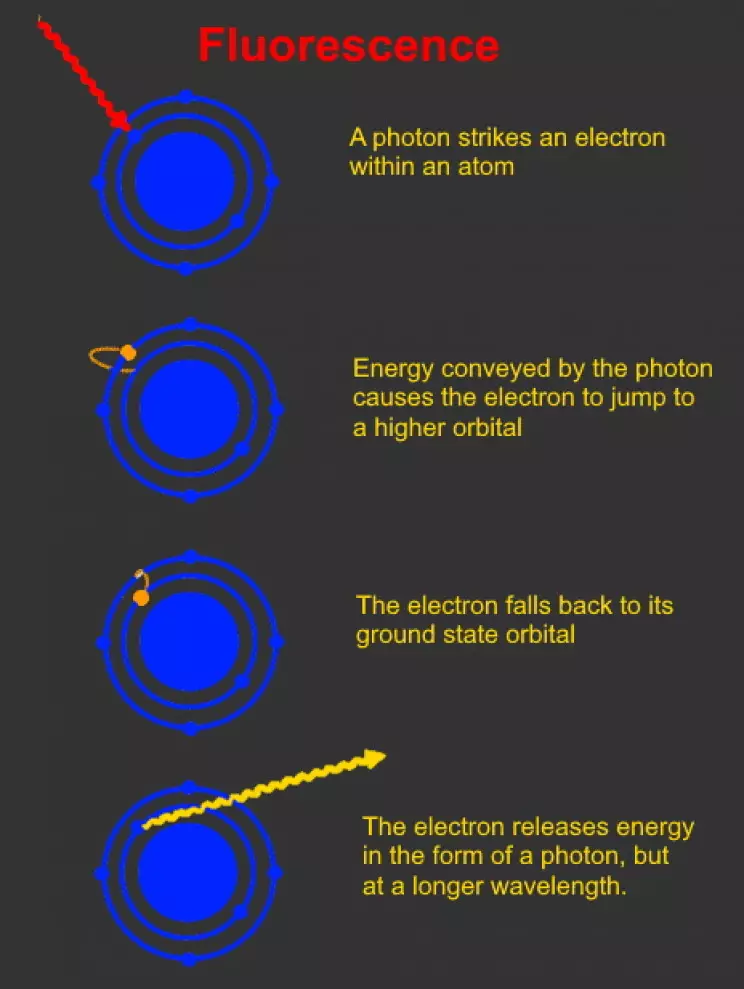 Kedu ka fluorescence si arụ ọrụ