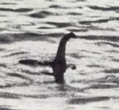 Rasaense e Rera ho Rarolla Sephiri sa Monster sa Loch Ness Ka Tlhahlobo ea DNA