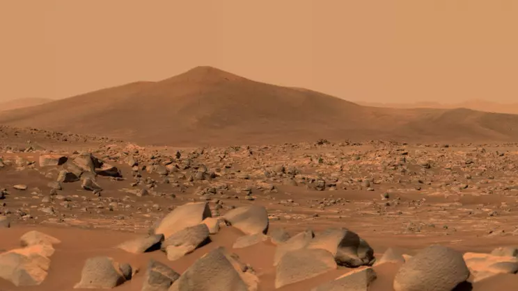 NASAko zientzialaria: Bai, gizakiak egun batean bizi daitezke Marten