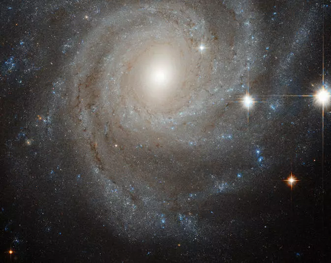 Het NGC 3344 spiraalstelsel