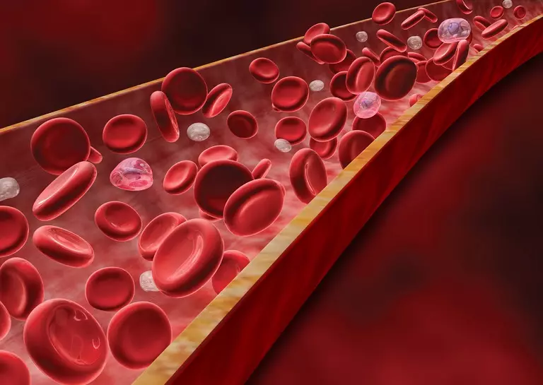 Krvne ćelije teku