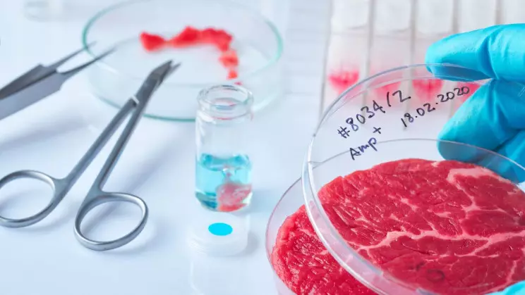 Nestlé werkt samen met toonaangevende startup voor in het laboratorium gekweekte vlees