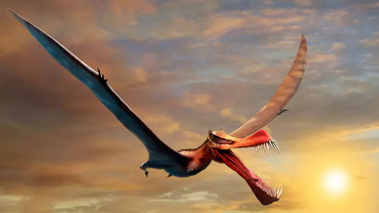 Aquest "drac" amb la boca de llança es va disparar sobre els dinosaures fa milions d'anys