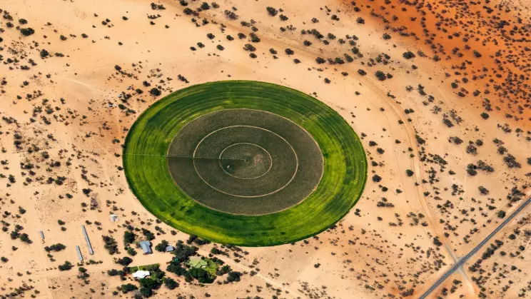 Bauern legen in der Sahara kreisförmige Gärten an. Hier ist der Grund