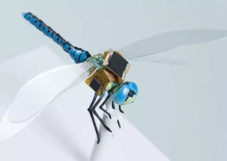 කුඩා බැක්පැක් Dragonfly ලොව කුඩාම Drone 'Cyborg' බවට පත් කරයි