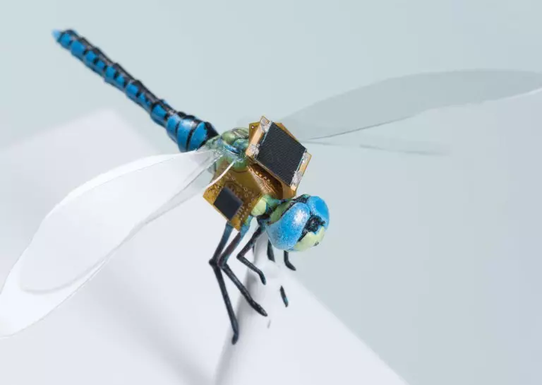 Apo-afẹyinti Tiny Yipada Dragonfly sinu Drone Kere ti Agbaye 'Cyborg'