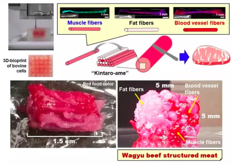 Japonya goştê goştê Wagyu yê bi 3D çapkirî eşkere dike. Lê ew baş e?