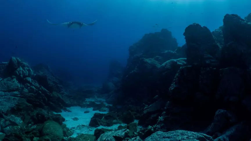 دانشمندان به تازگی کوه هایی از شکر را در زیر اقیانوس پنهان کرده اند