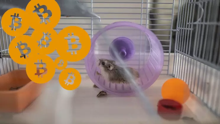 Is fearr le Hamster in a Cage Trading Crypto S&P 500 agus Bitcoin