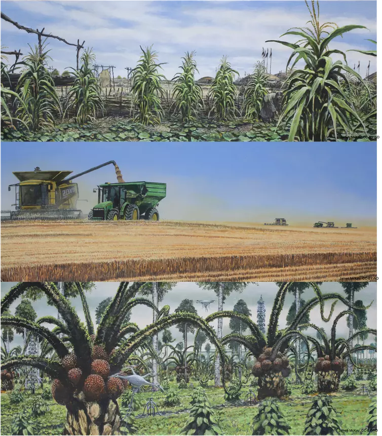 A triptych saka tetanèn lan owah-owahan ing crops liwat wektu amarga owah-owahan iklim