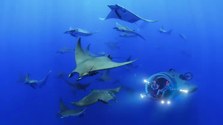 돌고래보다 빠르게 이동할 수 있는 새로운 10톤 럭셔리 잠수함