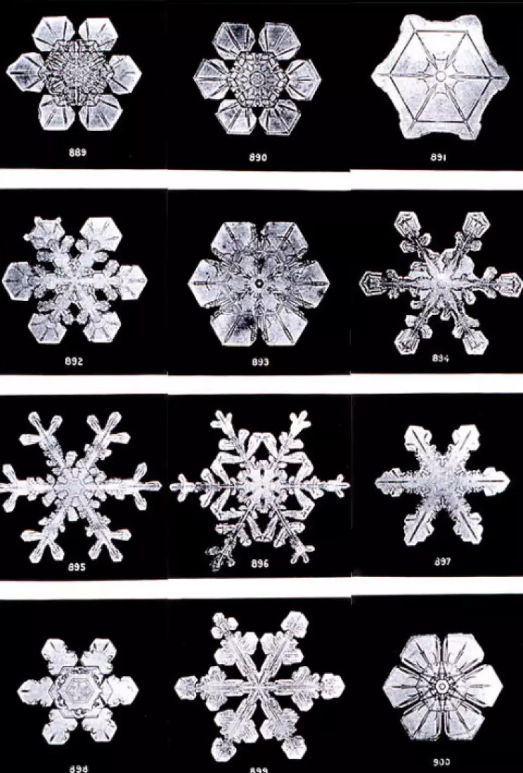 Mẹfa-apa snowflakes