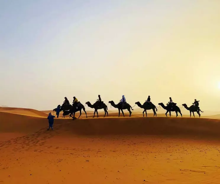행성 테라포밍: 인간이 지구의 '사막화'를 막을 수 있습니까?