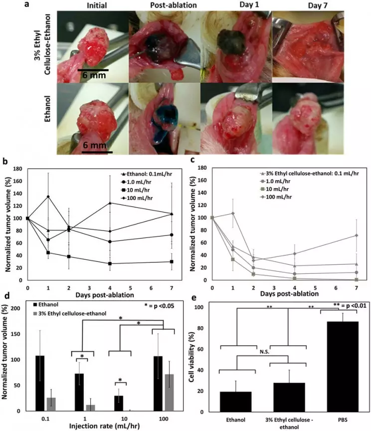 I ricercatori utilizzano uno strumento inaspettato nei nuovi trattamenti contro il cancro