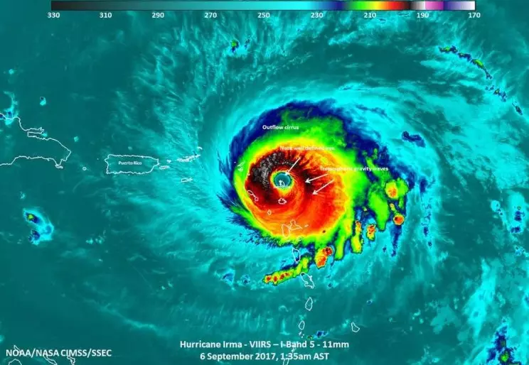 Skaičiai už mirtino uragano Irma