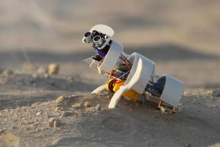 Wittenskippers hawwe gewoan Wall-E ta libben brocht mei in leaflike robot foar siedplanting