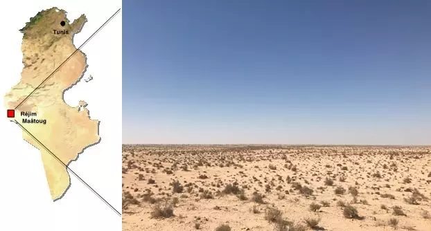 Dit bedriuw wol sinne-enerzjy fan 'e Sahara-sinne nei Power Europe brûke