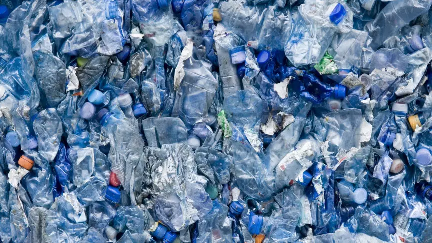 Nýtt ensím sem étur plast gæti leyst plastvandræði okkar í eitt skipti fyrir öll