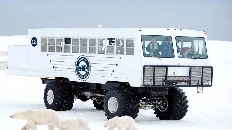 Първото EV Tundra Buggy е тук и е готово да се справи с най-лошия ви снежен ден