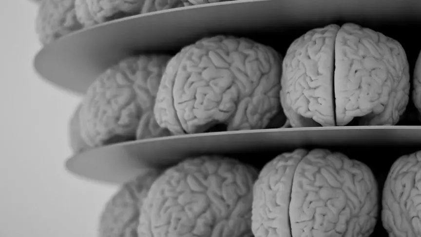 과학자들은 뇌가 기억을 저장하는 방법에 대한 더 많은 지식을 발견합니다.