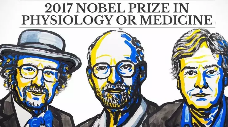 Nobelprisen i medisin tildelt for oppdagelsen av hvordan cellene våre sporer tid