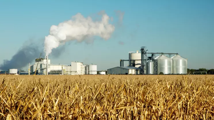 Biopaliva možná nejsou tak zelená, jak nám bylo řečeno