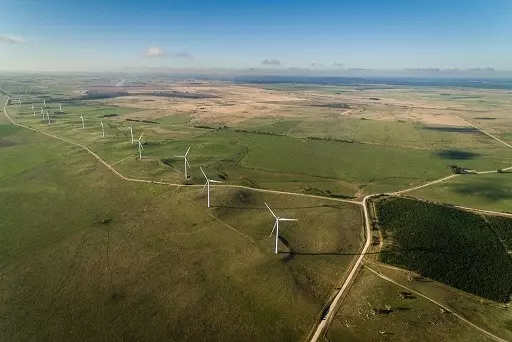 פארוואס זענען ווינט טערביינז פּיינטיד ווייַס?