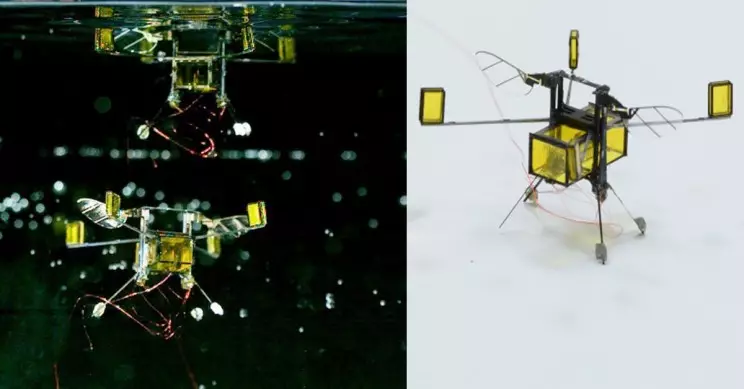Detta autonoma robotbi använder brännbara raketer för att dyka i och ur vattnet