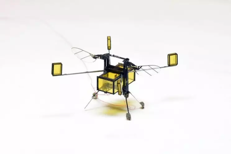 Diese autonome Roboterbiene verwendet brennbare Raketen, um in und aus Wasser zu tauchen