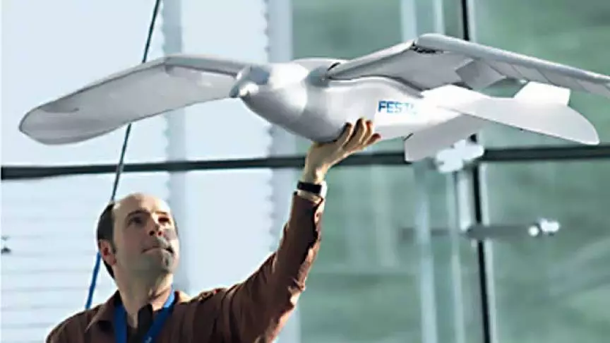 SmartBird-Festo